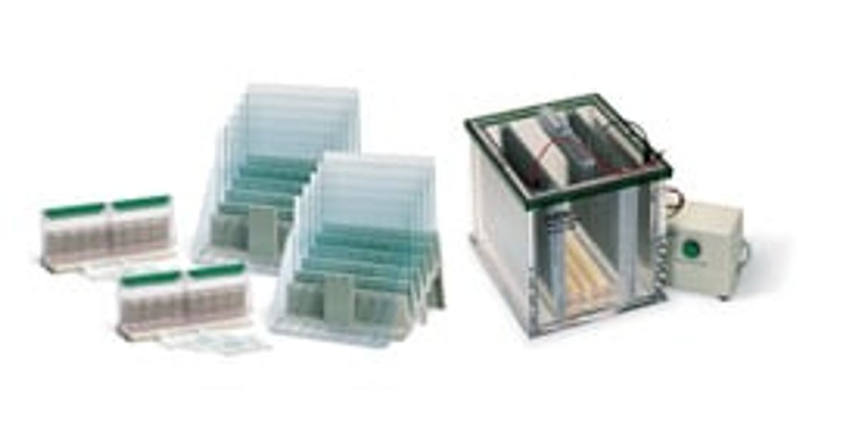 PROTEAN Plus Dodeca Cell and 6-Row AnyGel Stands #1655134 reviews