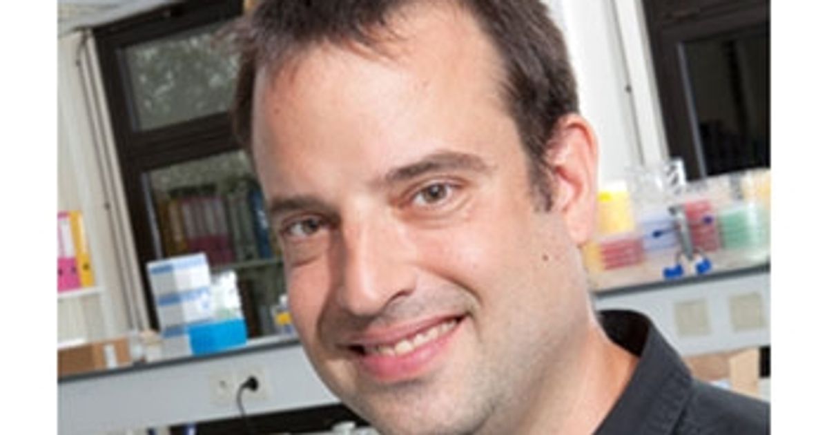 The Role of Epigenetics in Drug Discovery for Neurodegenerative and ...