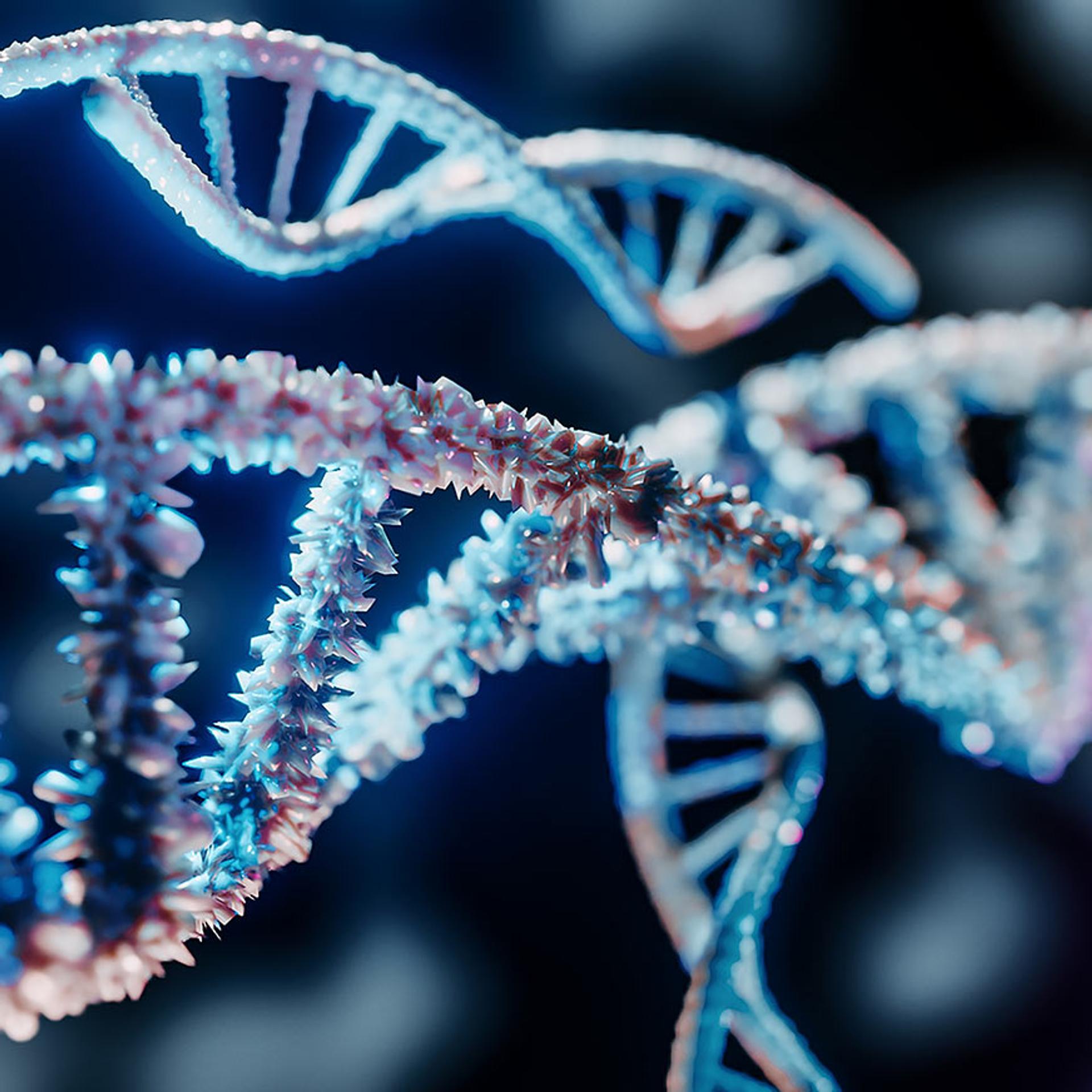 ORTHO VISION™ Analyzer