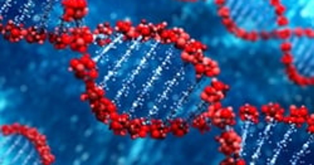 Establishing release specifications for plasmids, a critical starting ...