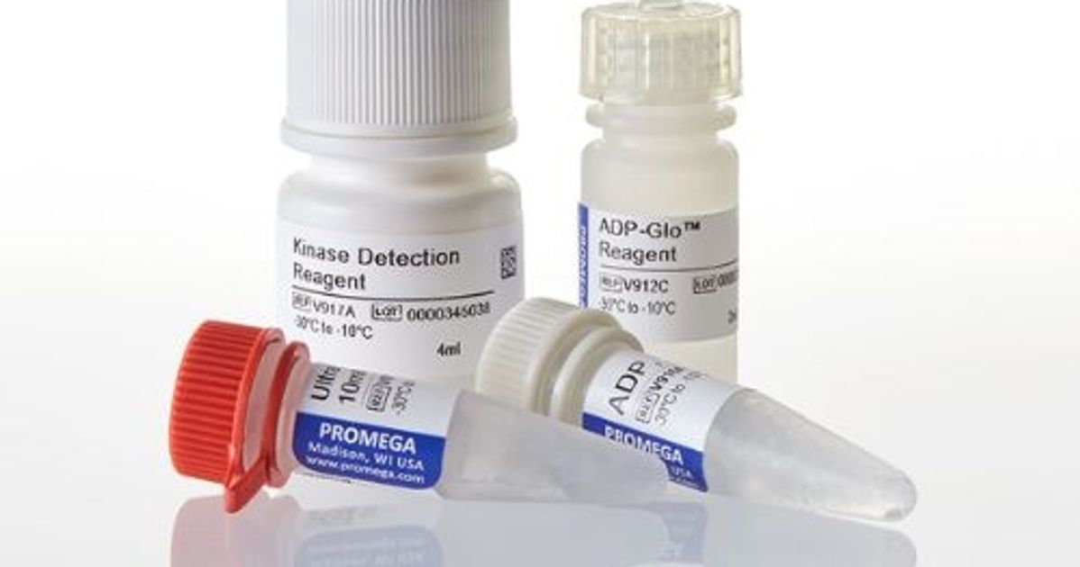 ADP-Glo™ Kinase Assay
