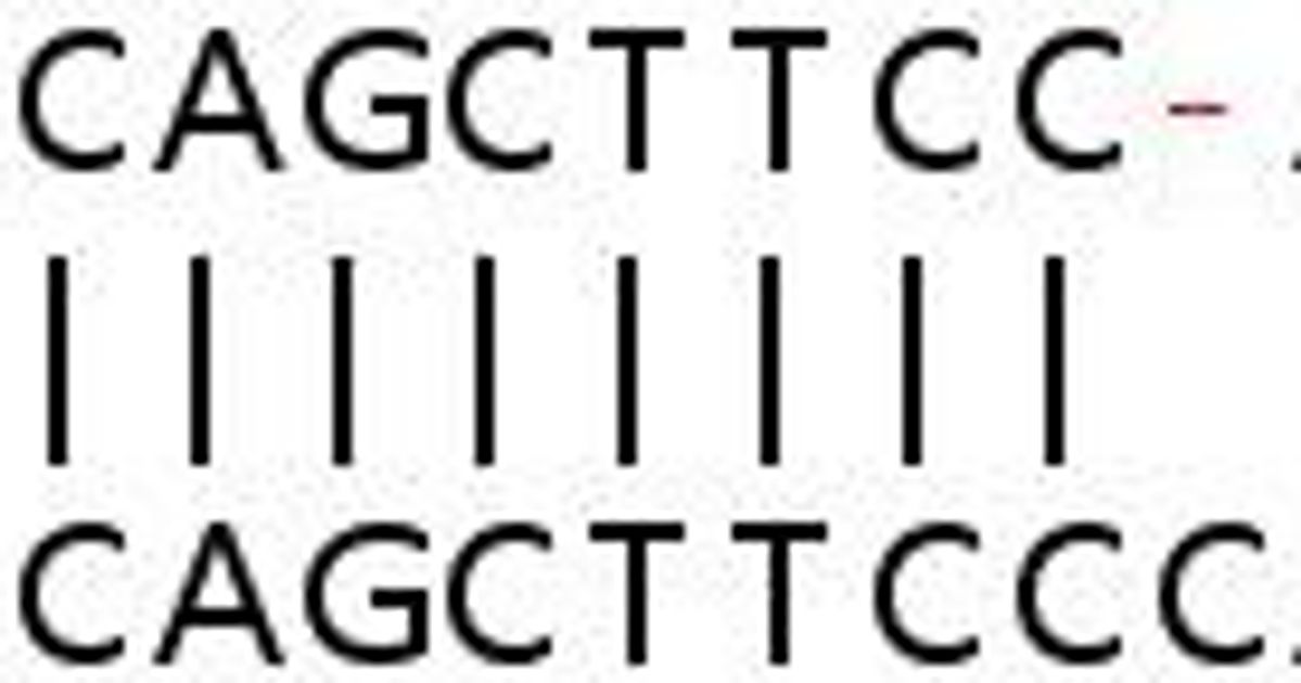Human STAT3 knockout HeLa cell line | SelectScience