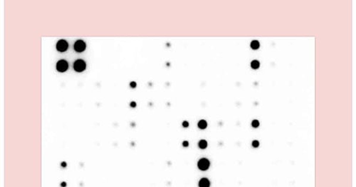 Human Phosphorylation Pathway Profiling Array C55