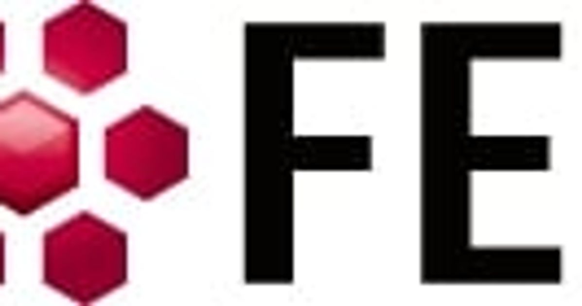 FEI Company