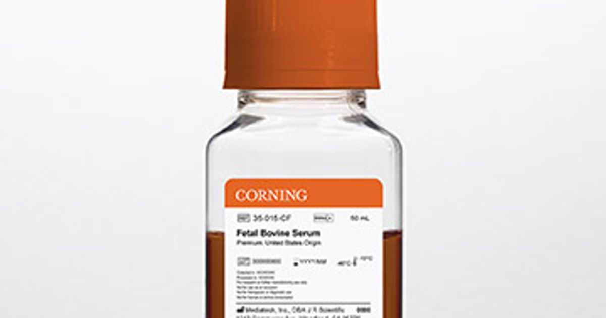 Corning® Fetal Bovine Serum, 50 mL, Premium, United States Origin