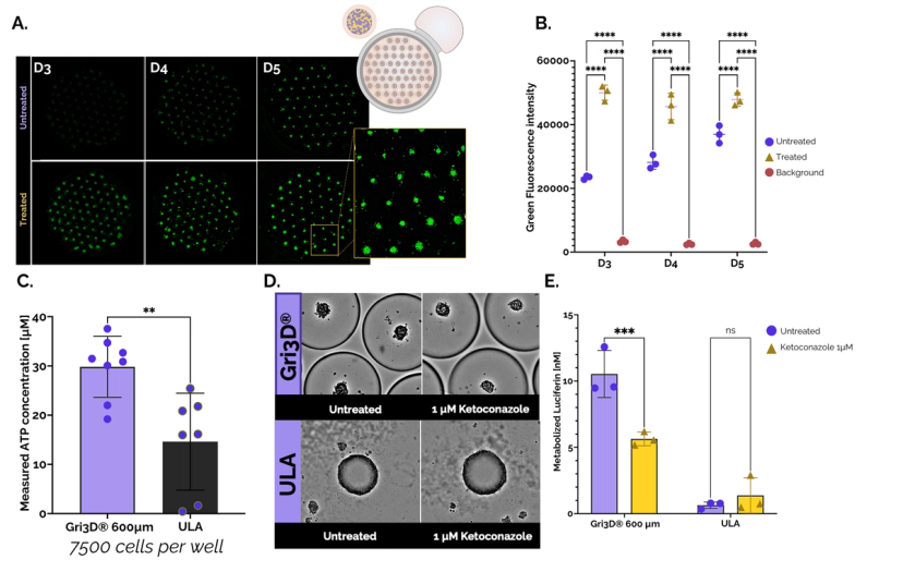 Microwell plates to standardize automated organoid workflows