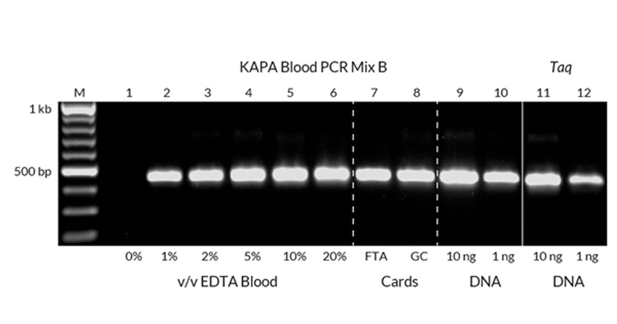 KAPA Blood PCR Kits reviews