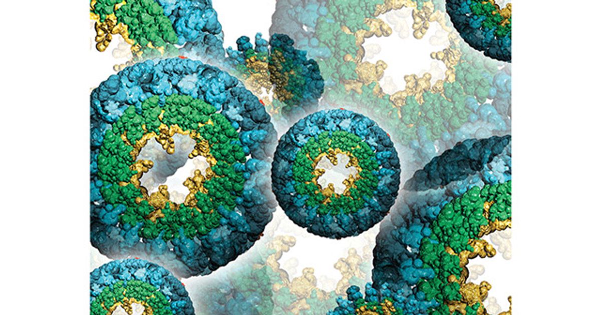 Buy Proteomics Read Reviews