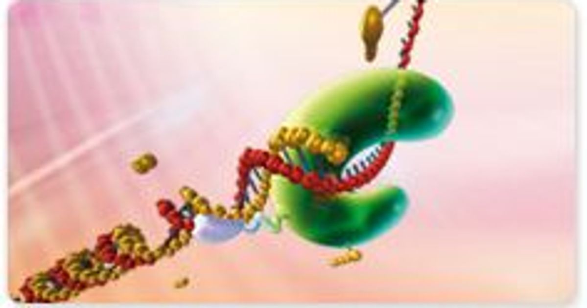 Celebrating 10 years of PCR: High-Fidelity PCR Reagents Continue to ... Celebrating 10 years of PCR: High-Fidelity PCR Reagents Continue to ...