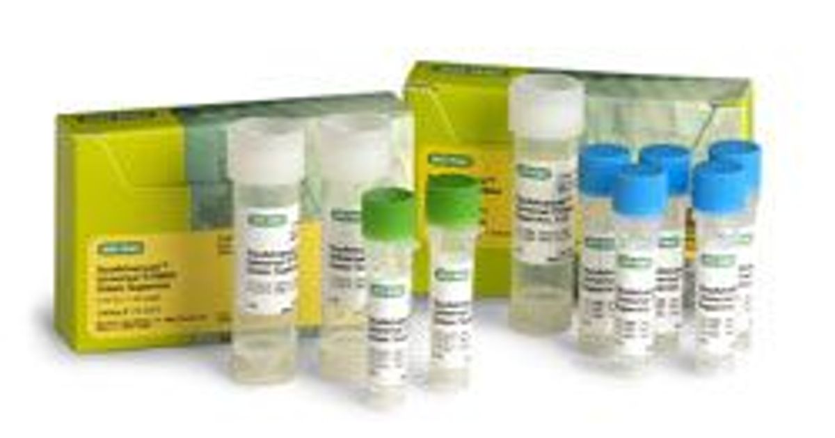 Bio-Rad’s New SsoAdvanced™ Universal Supermixes Offer Superior ...