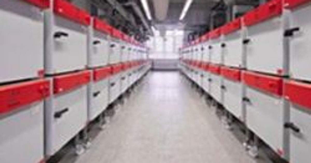 FP 115-S Material Test Chambers with Mechanical Convection from BINDER ...