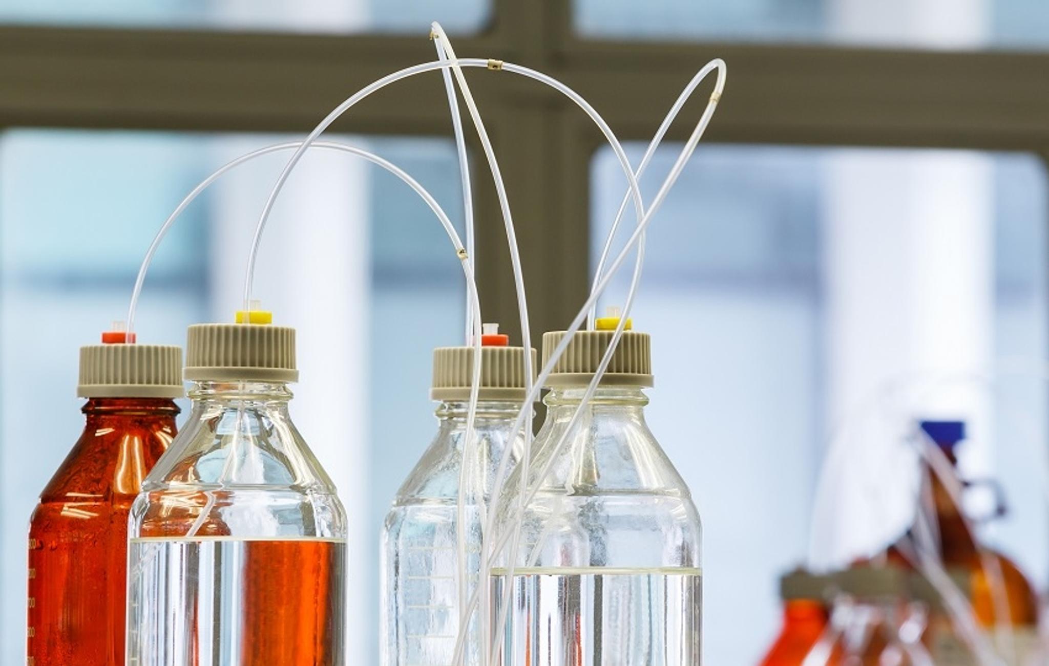 ACQUITY UPLC® BEH C18 and C8 Columns