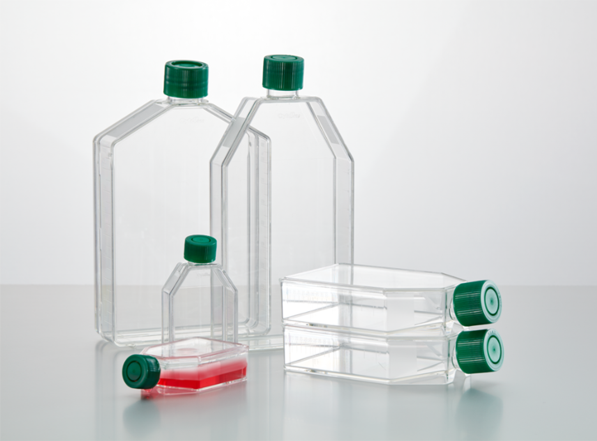 Invitrogen™ SeeBlue™ Plus2 Pre-stained Protein Standard