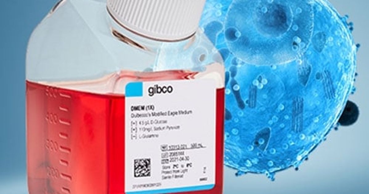 Gibco™ DMEM - Dulbecco's Modified Eagle Medium reviews