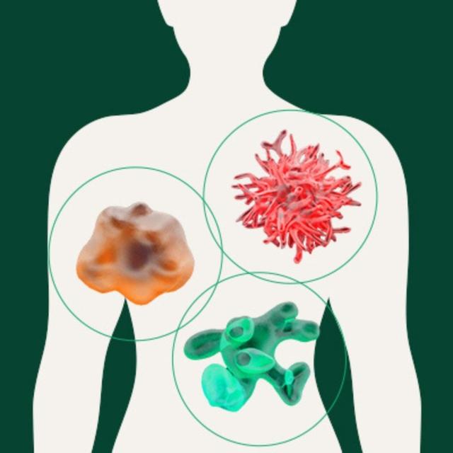 3D Organoid Research Solutions | SelectScience