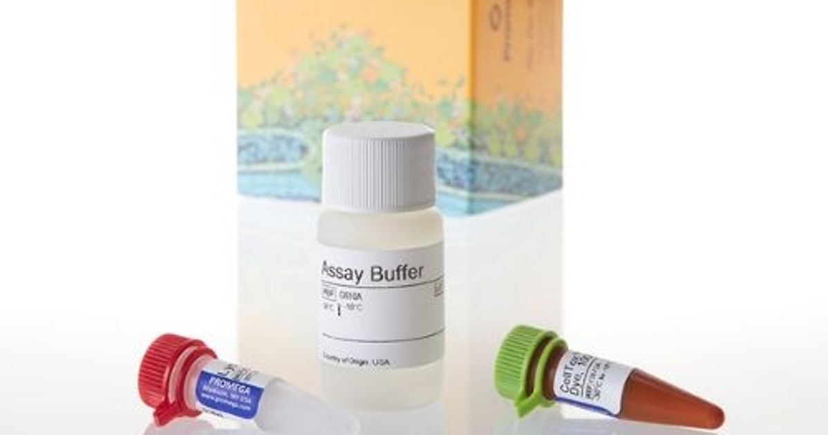 CellTox™ Green Cytotoxicity Assay