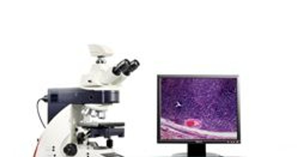New Leica Microscope System Launched for Biomedical Applications