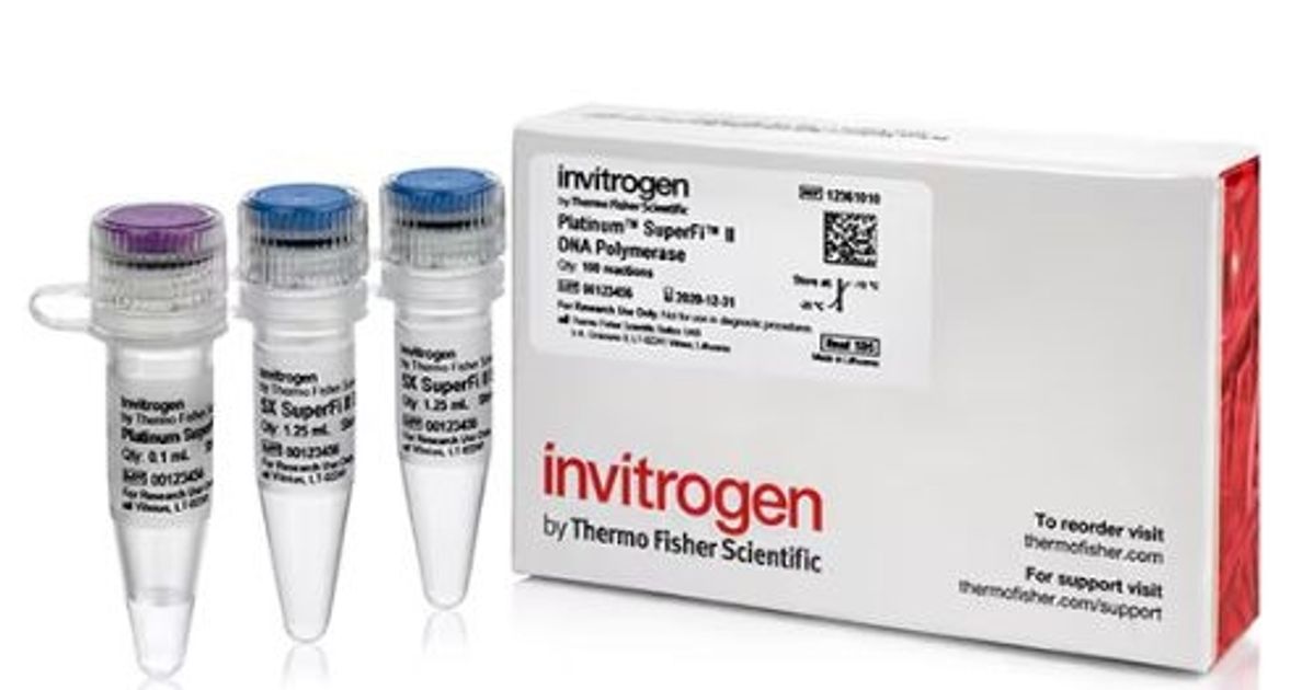 Platinum™ SuperFi II DNA Polymerase