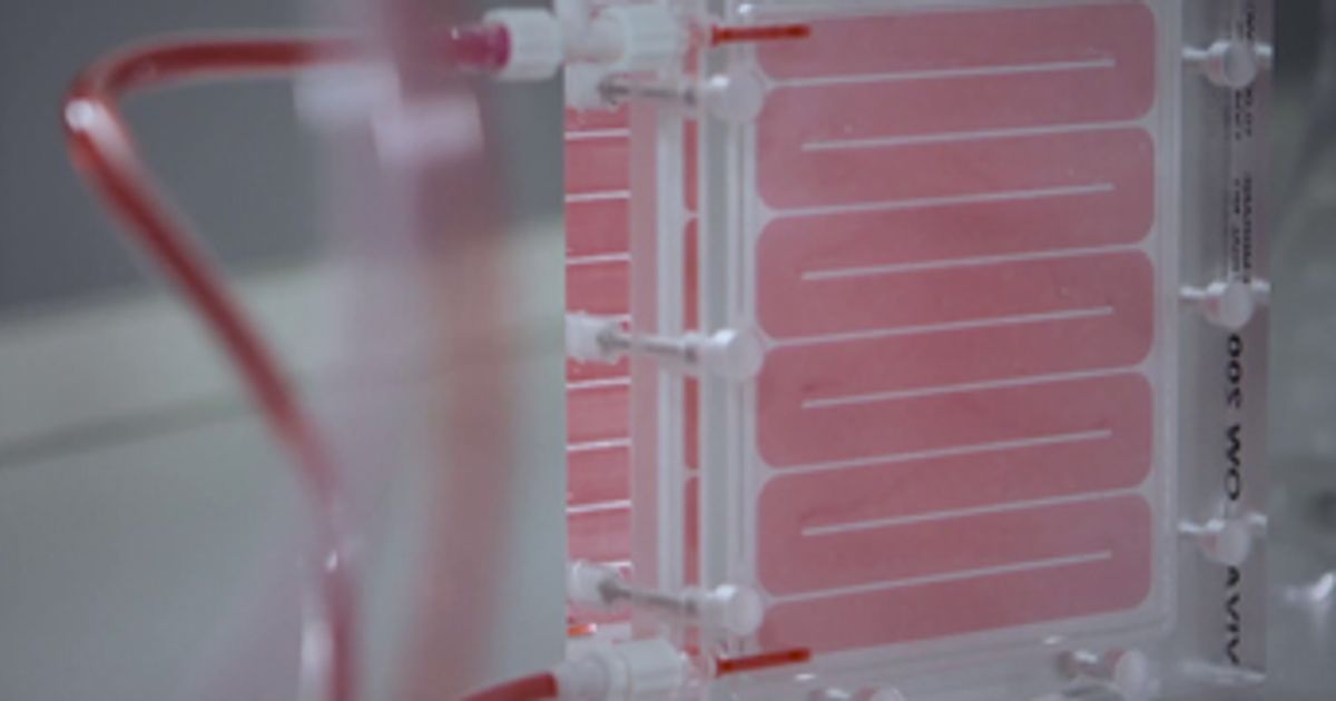 Vivaflow 200 the Lab Crossflow Device