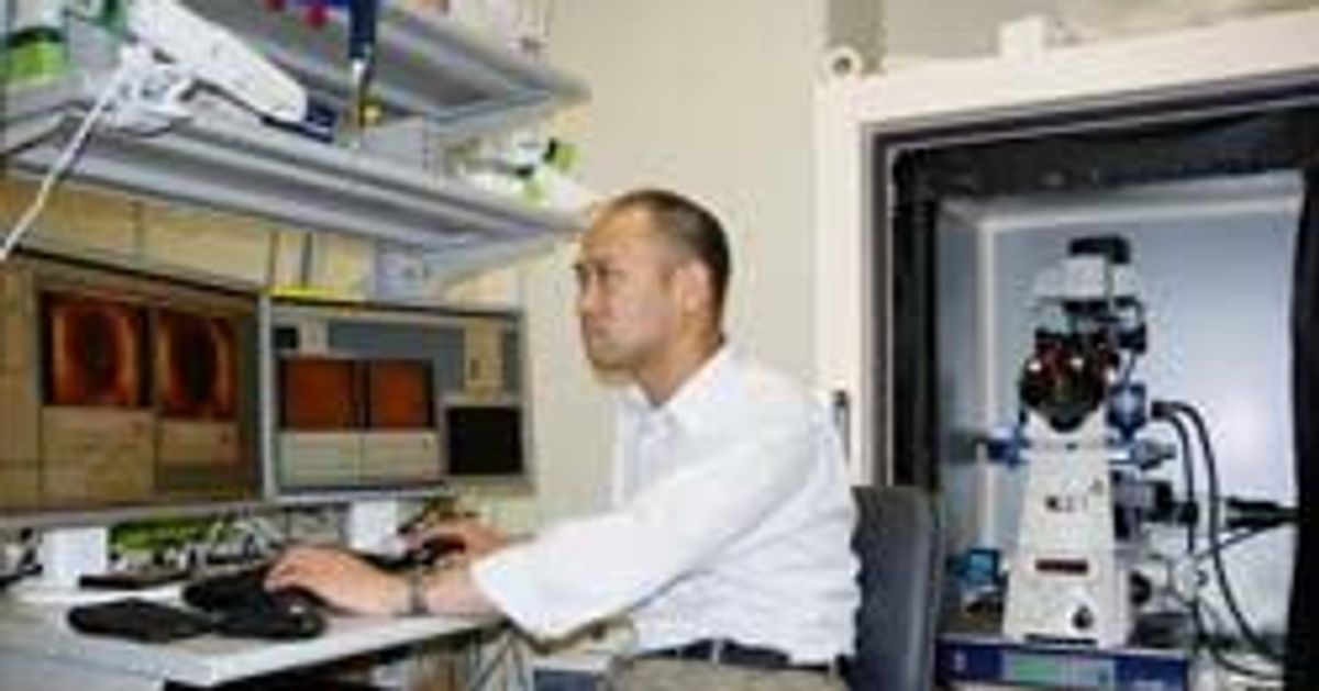 JPK Reports on the Developments of High Resolution Imaging at Kanazawa ...