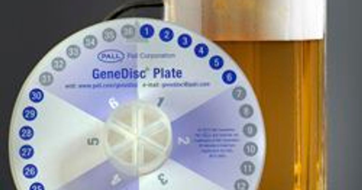 Quick, Easy and Affordable Test for Beer Spoilage Microorganisms