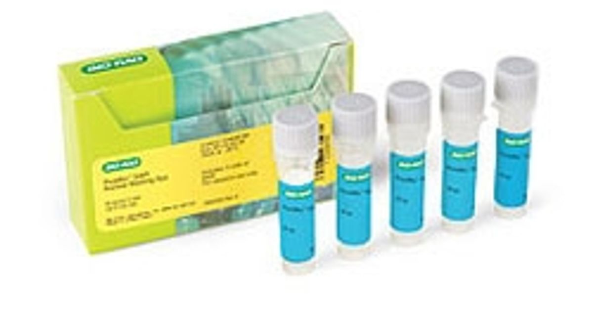PureBlu™ DAPI Nuclear Staining Dye reviews