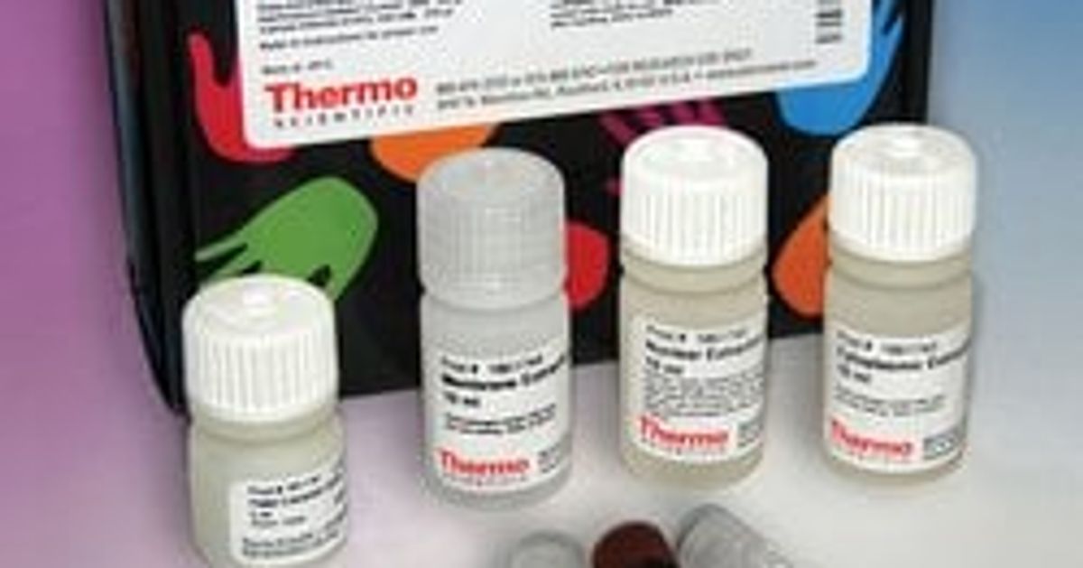 Buy Thermo Scientific™ Subcellular Protein Fractionation Kit for ...