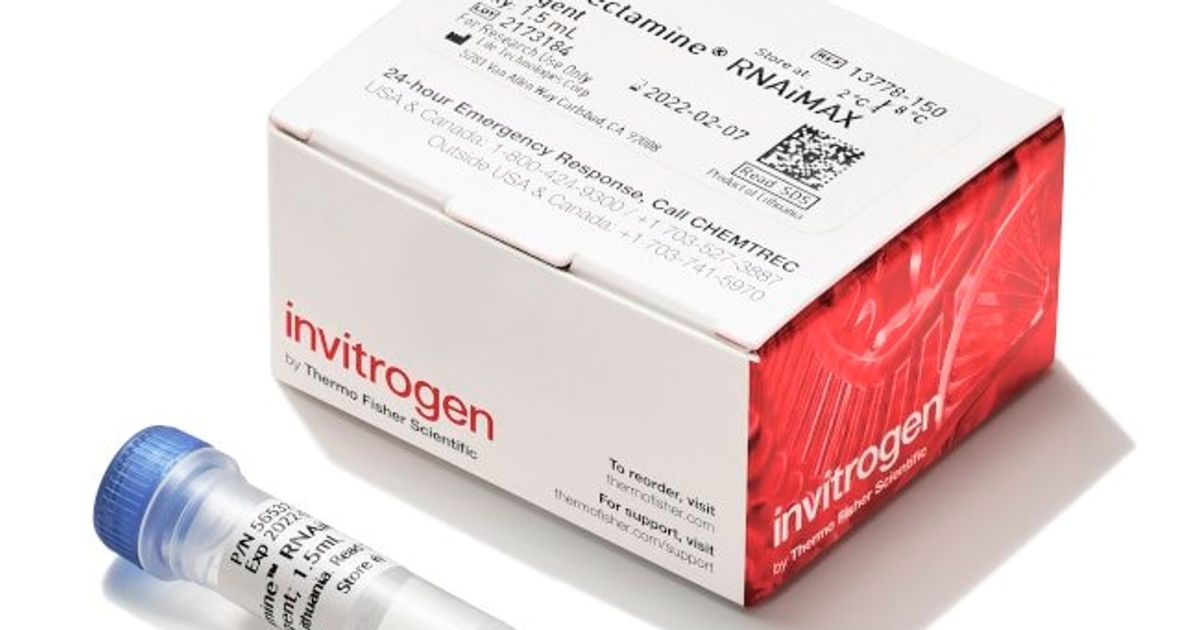 Invitrogen™ Lipofectamine™ RNAiMAX Transfection Reagent | SelectScience