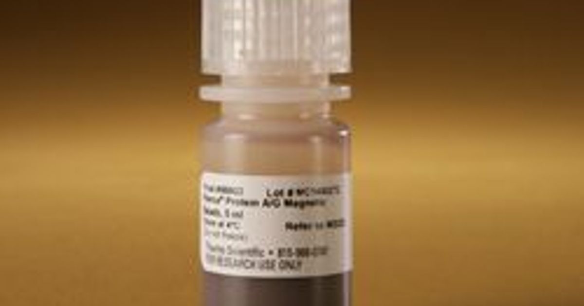 New Magnetic Beads for Affinity Binding Techniques from Thermo Fisher ...