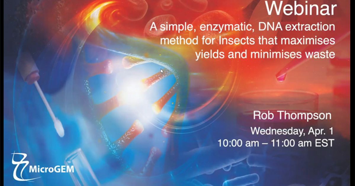 Addressing the challenges of DNA extraction from insects