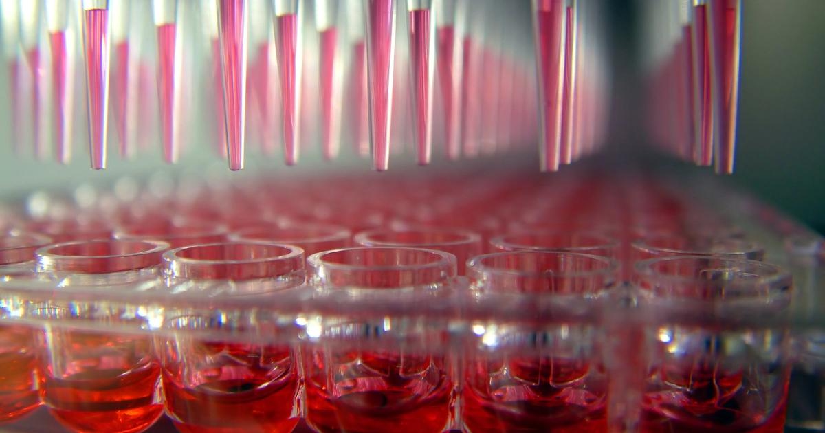 Discover the Latest Innovations in Cell-Based Automation