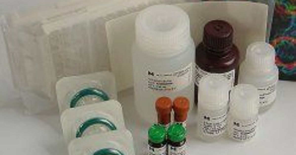 New OxyELISA™ Kit Provides Quantitative Measure of Oxidative Stress