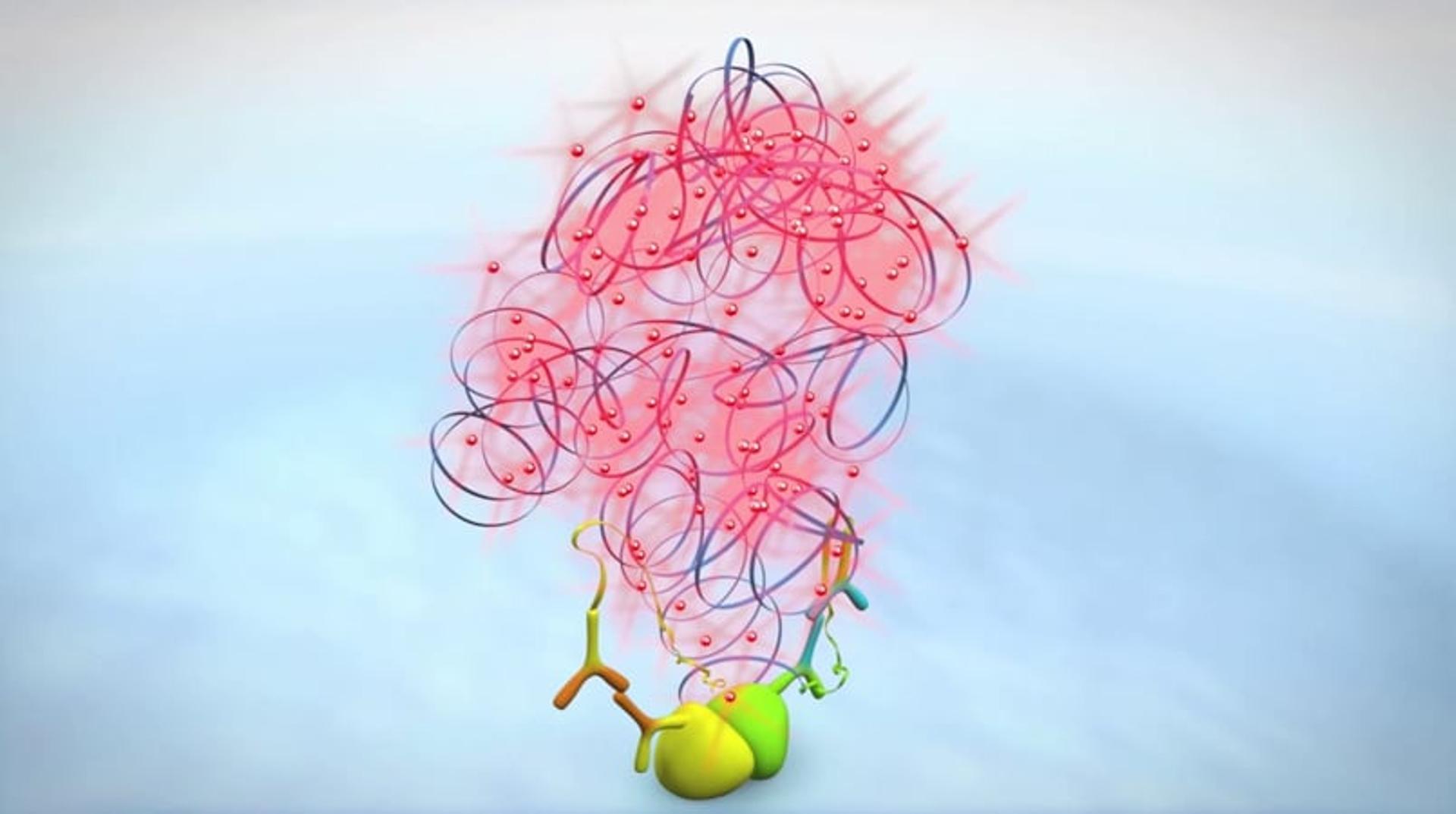Duolink® Pla Protein Detection Technology