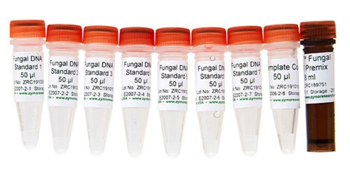Buy Femto™ Fungal DNA Quantification Kit Read Reviews