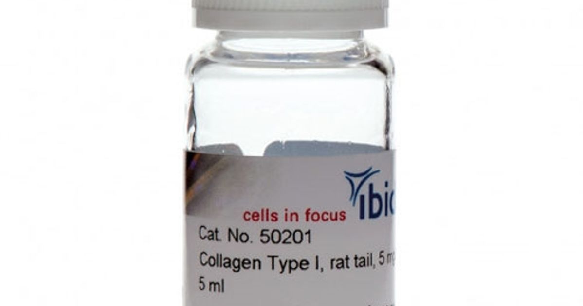Buy Collagen Type I, Rat Tail Read Reviews