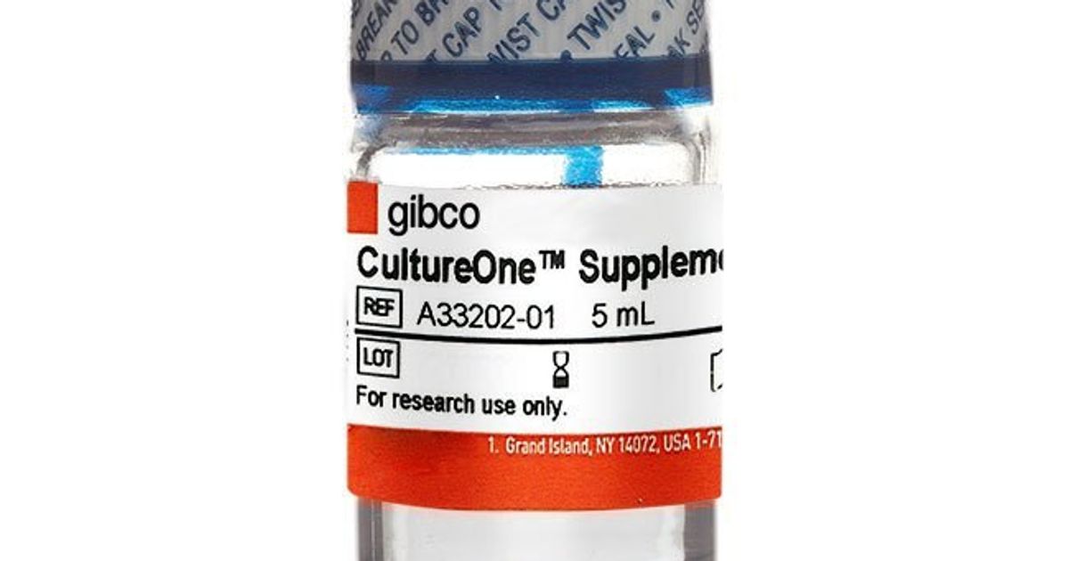 Gibco™ CultureOne Supplement | SelectScience