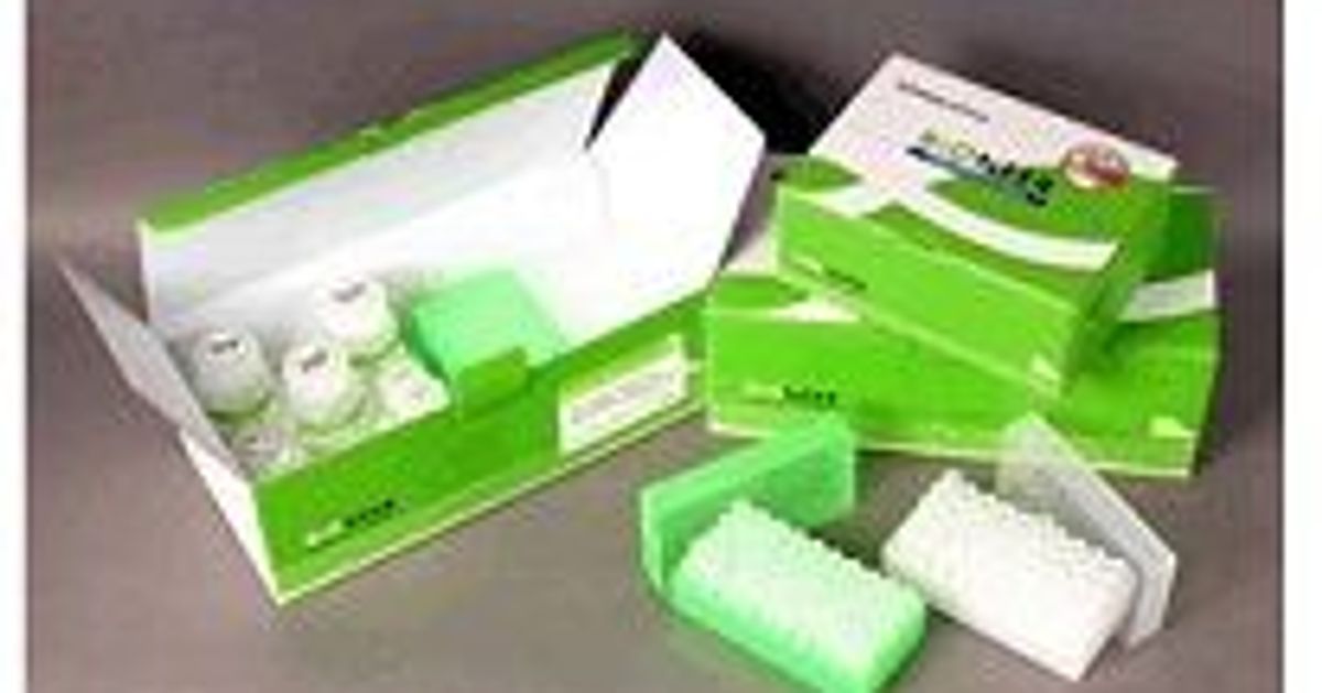 AccuPrep® Plasmid Mini Extraction Kit