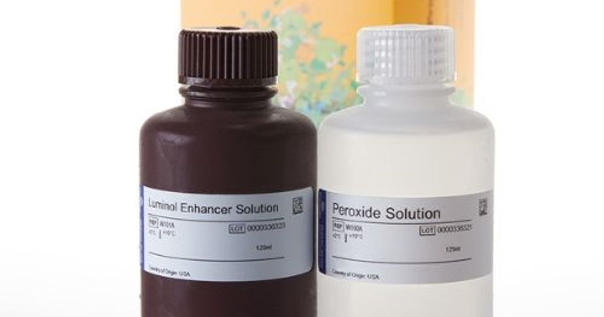 Ecl Western Blotting Substrate