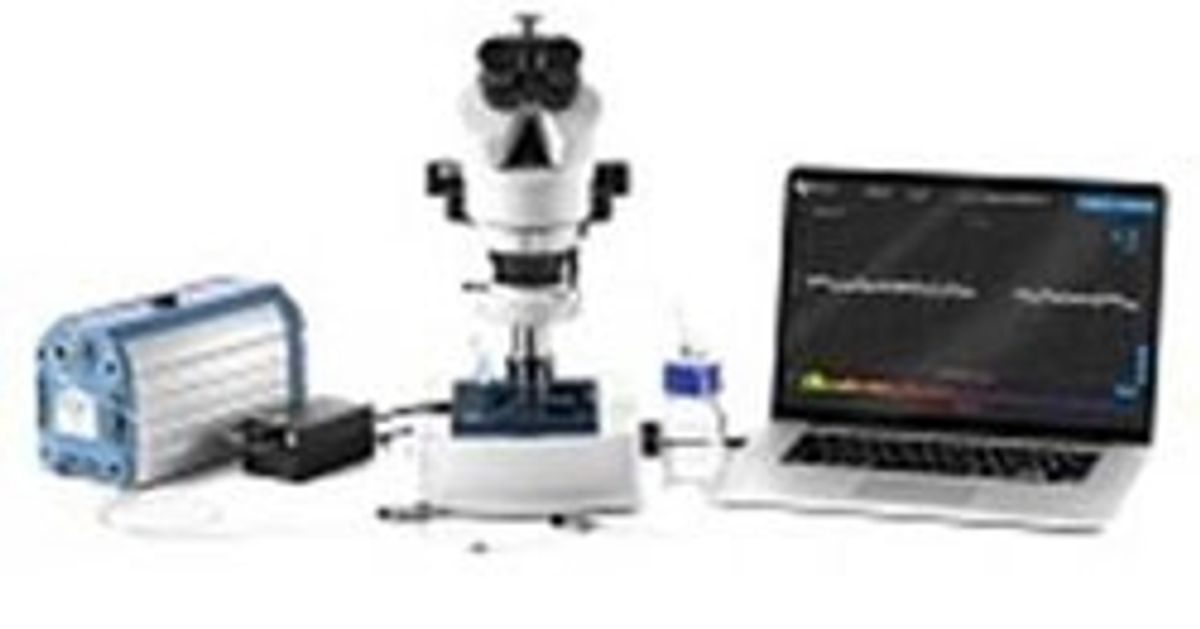 NemaMetrix Introduces Fluorescent Staining Kits for Improved ...