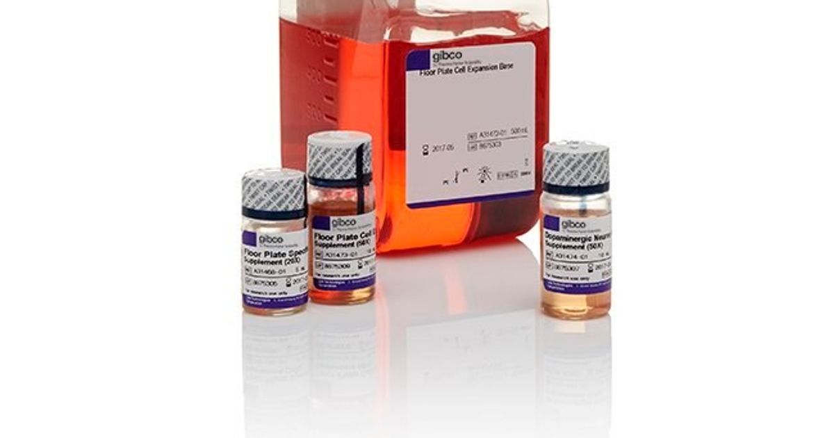 Buy Gibco™ PSC Dopaminergic Neuron Differentiation Kit Read Reviews