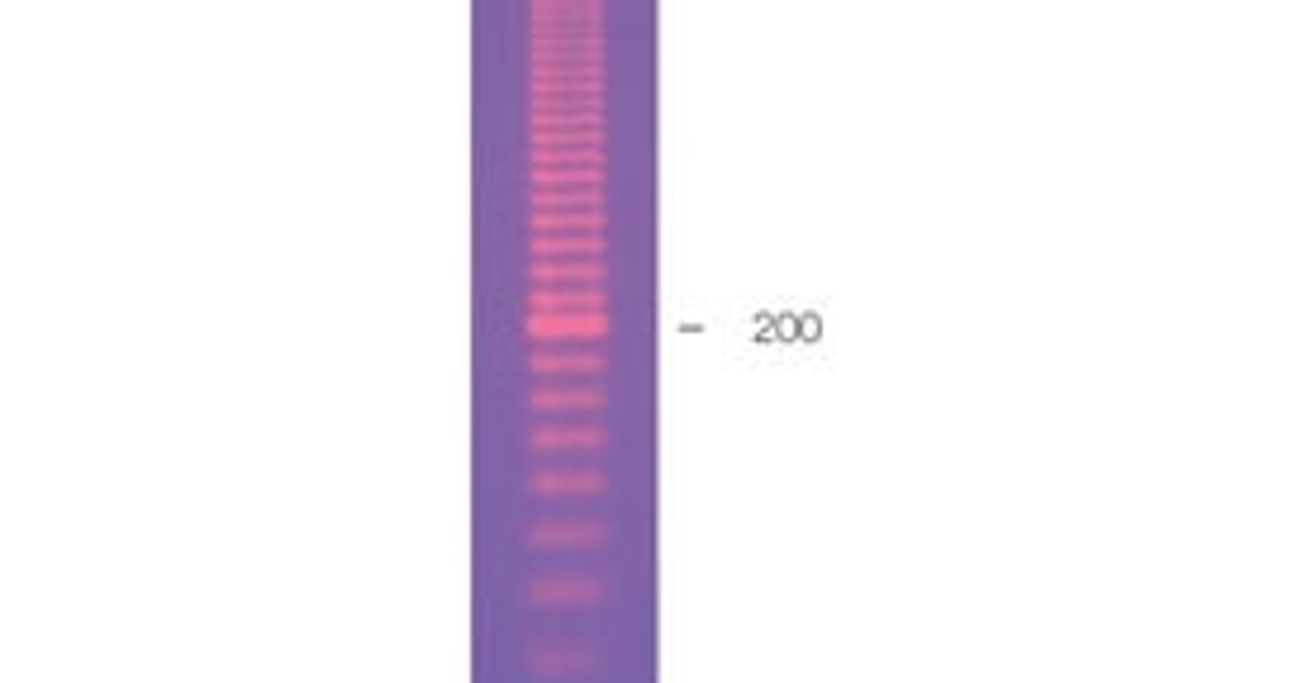 20 bp Molecular Ruler | SelectScience