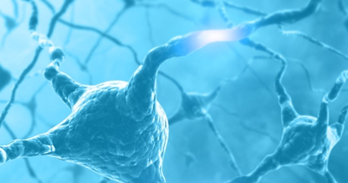 QPS Neuropharmacology Animal Models for Central Nervous System Diseases | SelectScience