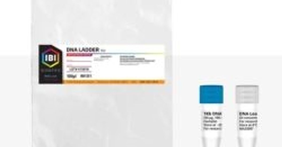 Buy 1KB DNA LADDER Read Reviews