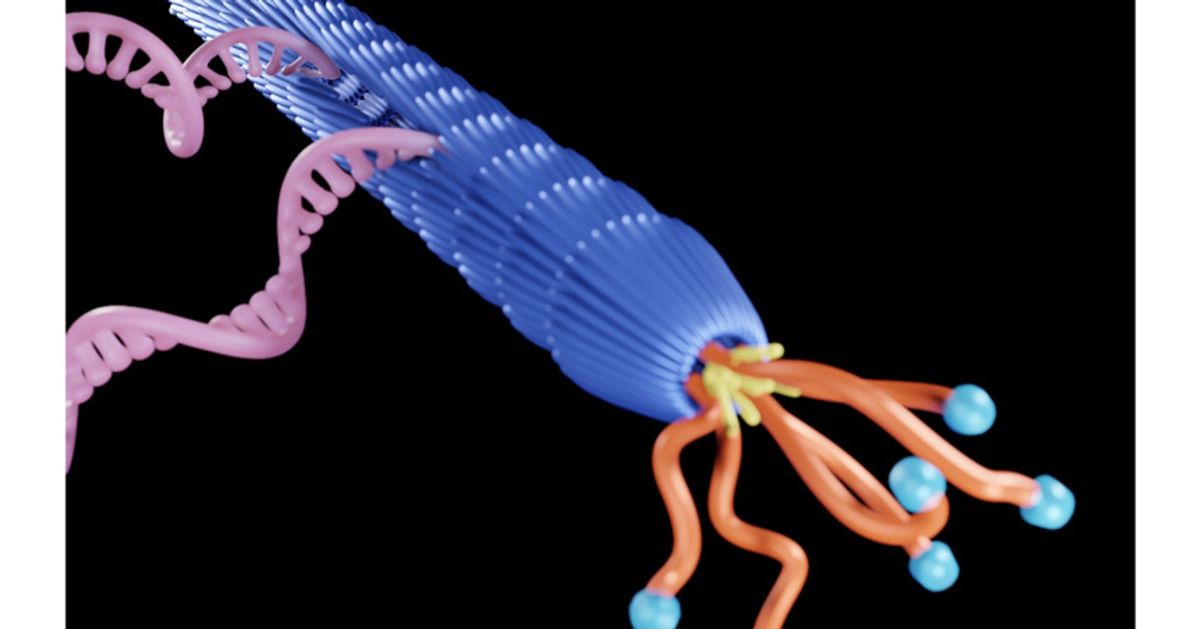 Buy Phage display platform Read Reviews