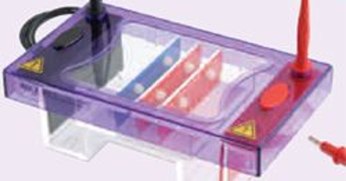 multiSUB Midi Duo reviews