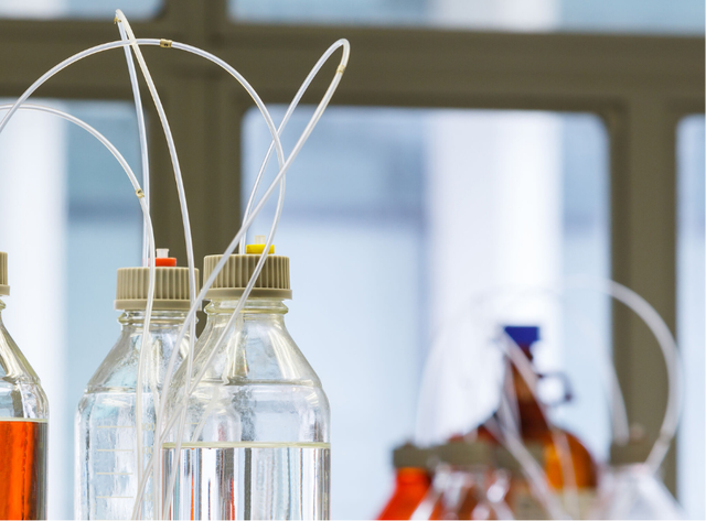 SelectScience | Trusted information for laboratory scientists