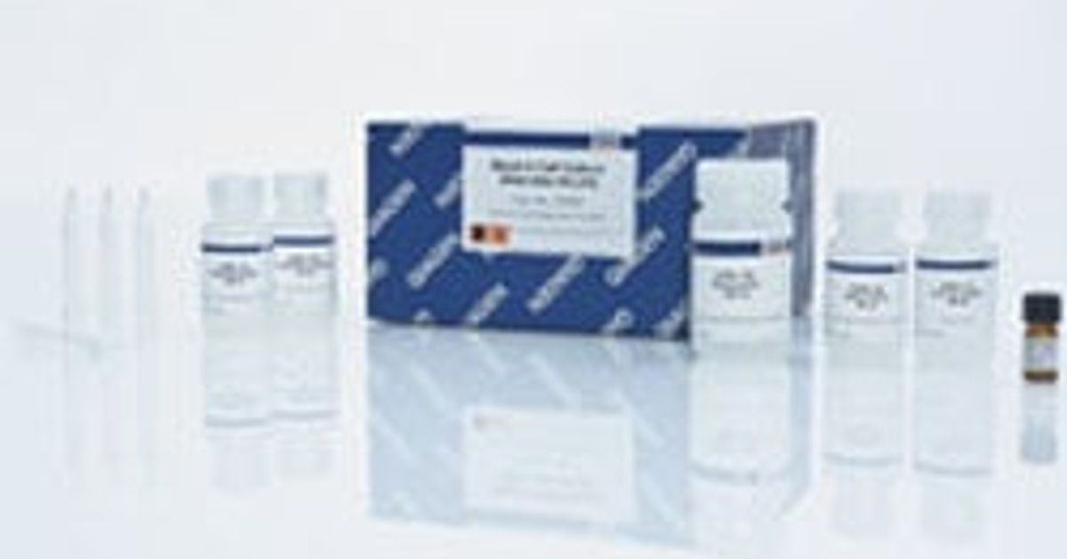 Blood & Cell Culture DNA Midi Kit (25)