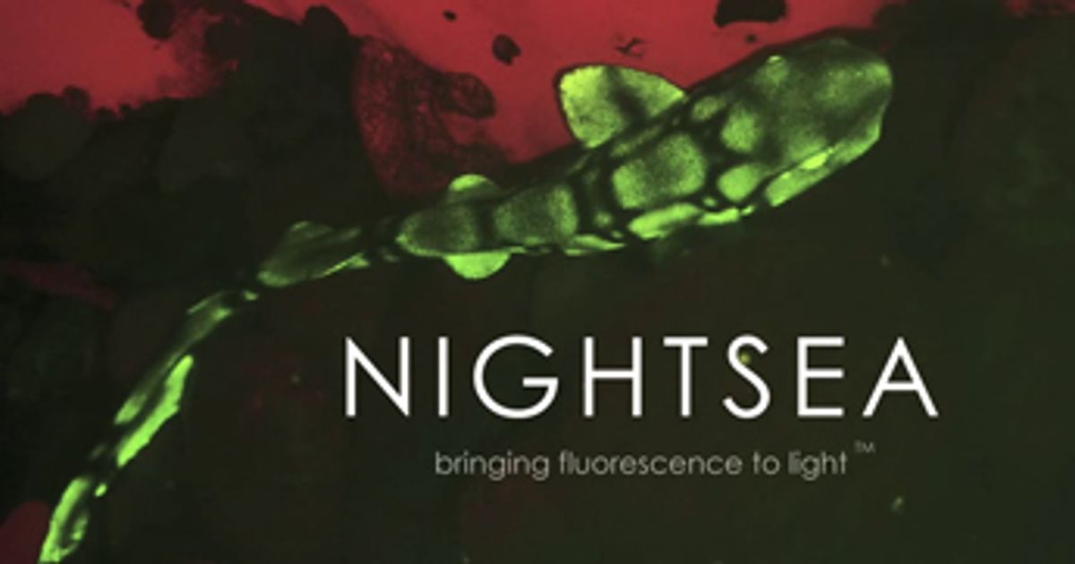 NIGHTSEA Model SFA Stereo Microscope Fluorescence Adapter