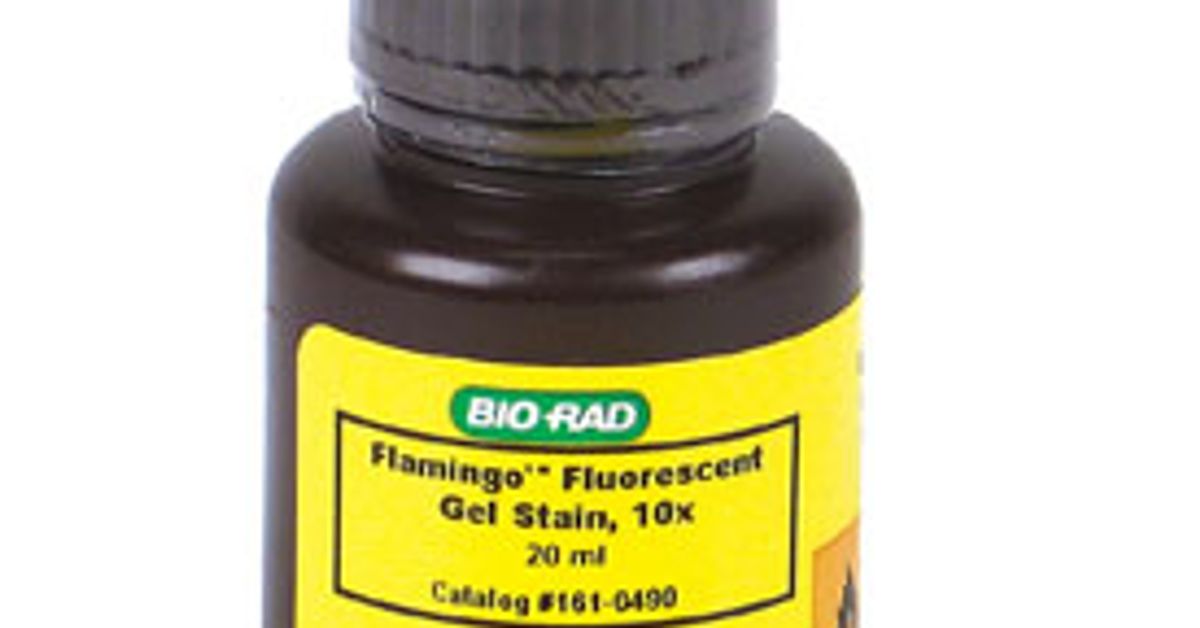 Buy Flamingo™ Fluorescent Protein Gel Stain, 20 ml Read Reviews