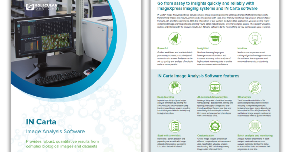 IN CARTA Image Analysis Software product brochure